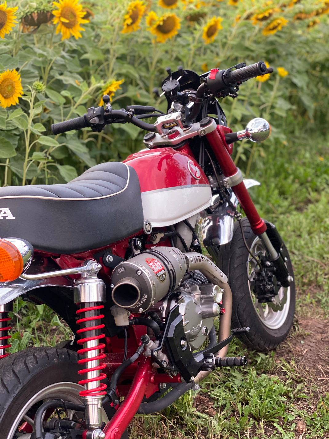 Motul RBF 700 DOT4 Brake Fluid 500ML DOT4 | Howling Moto