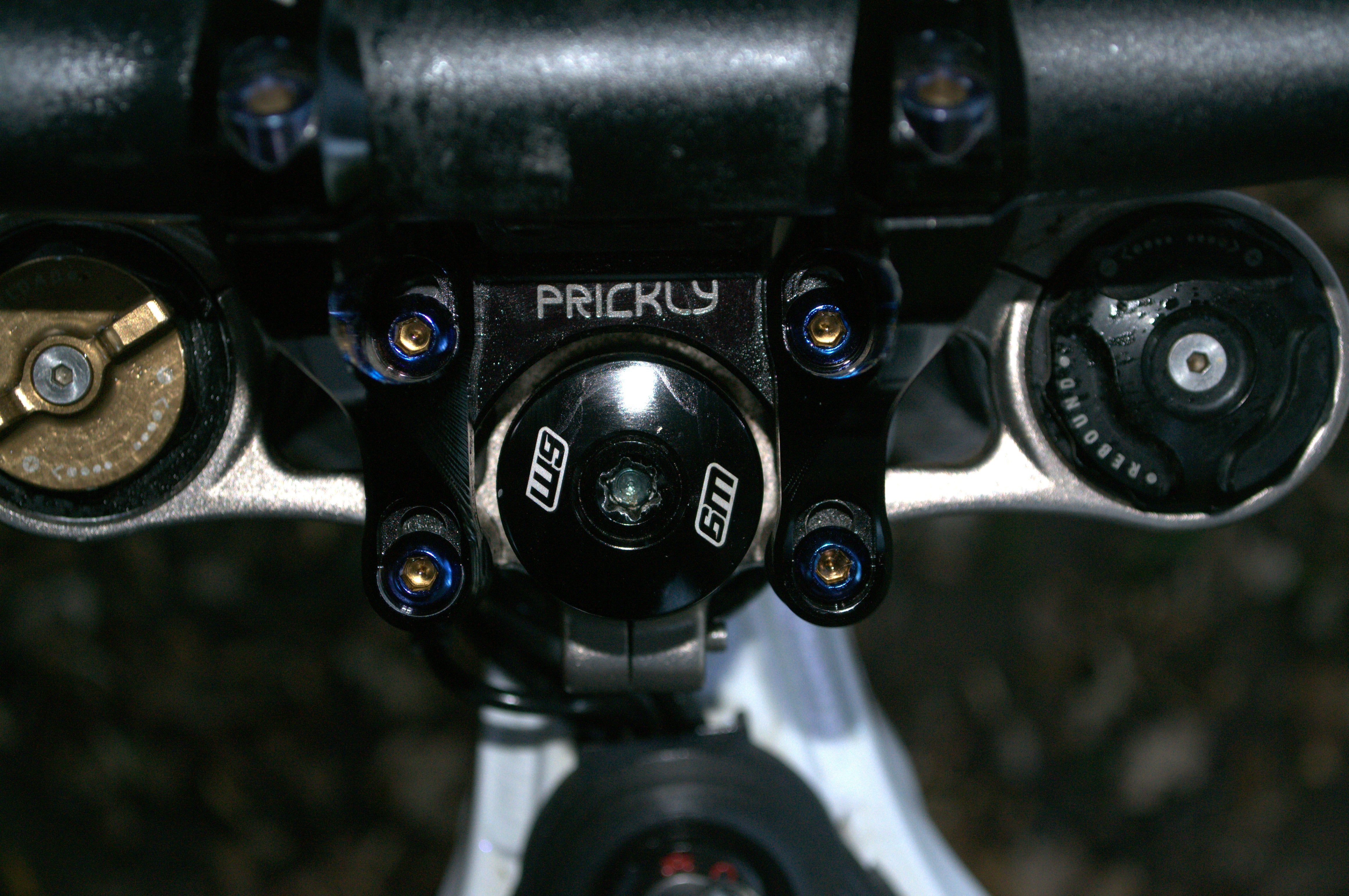Direct Mount Ti Bolts (ONLY FOR PRICKLY RISER) – Howling Moto